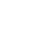 446 | White Bus