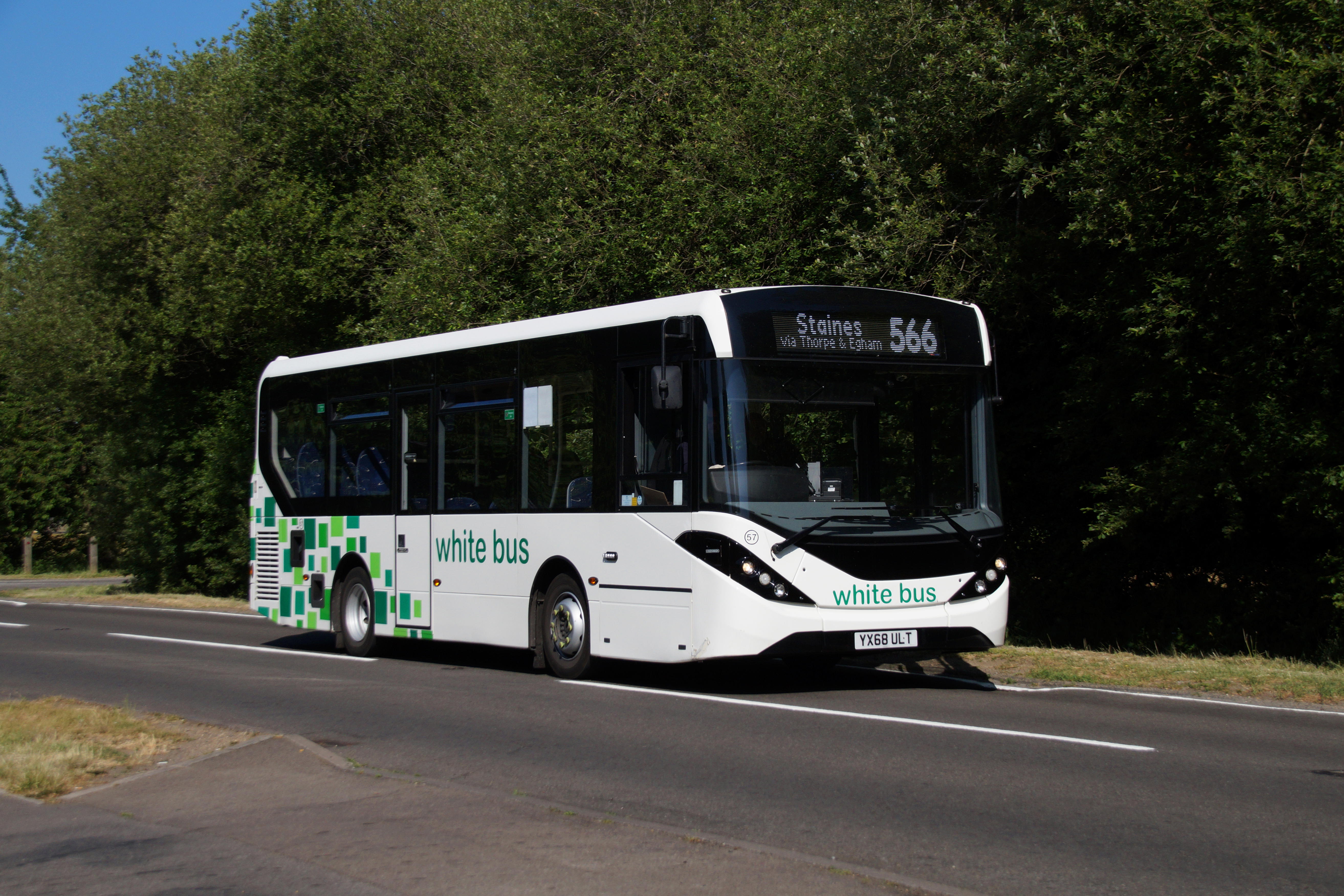 Bus Services | White Bus