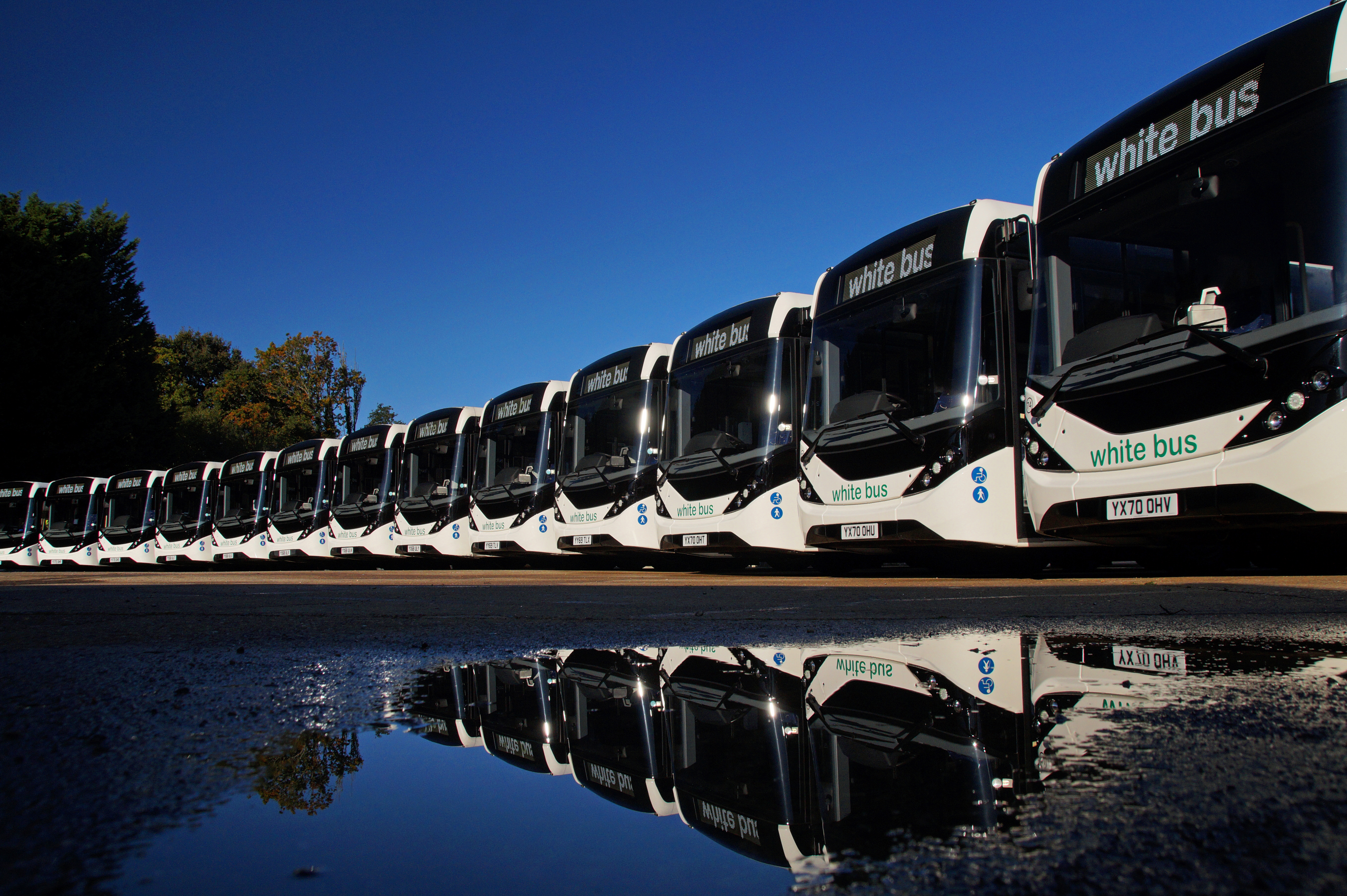 Bus Services | White Bus