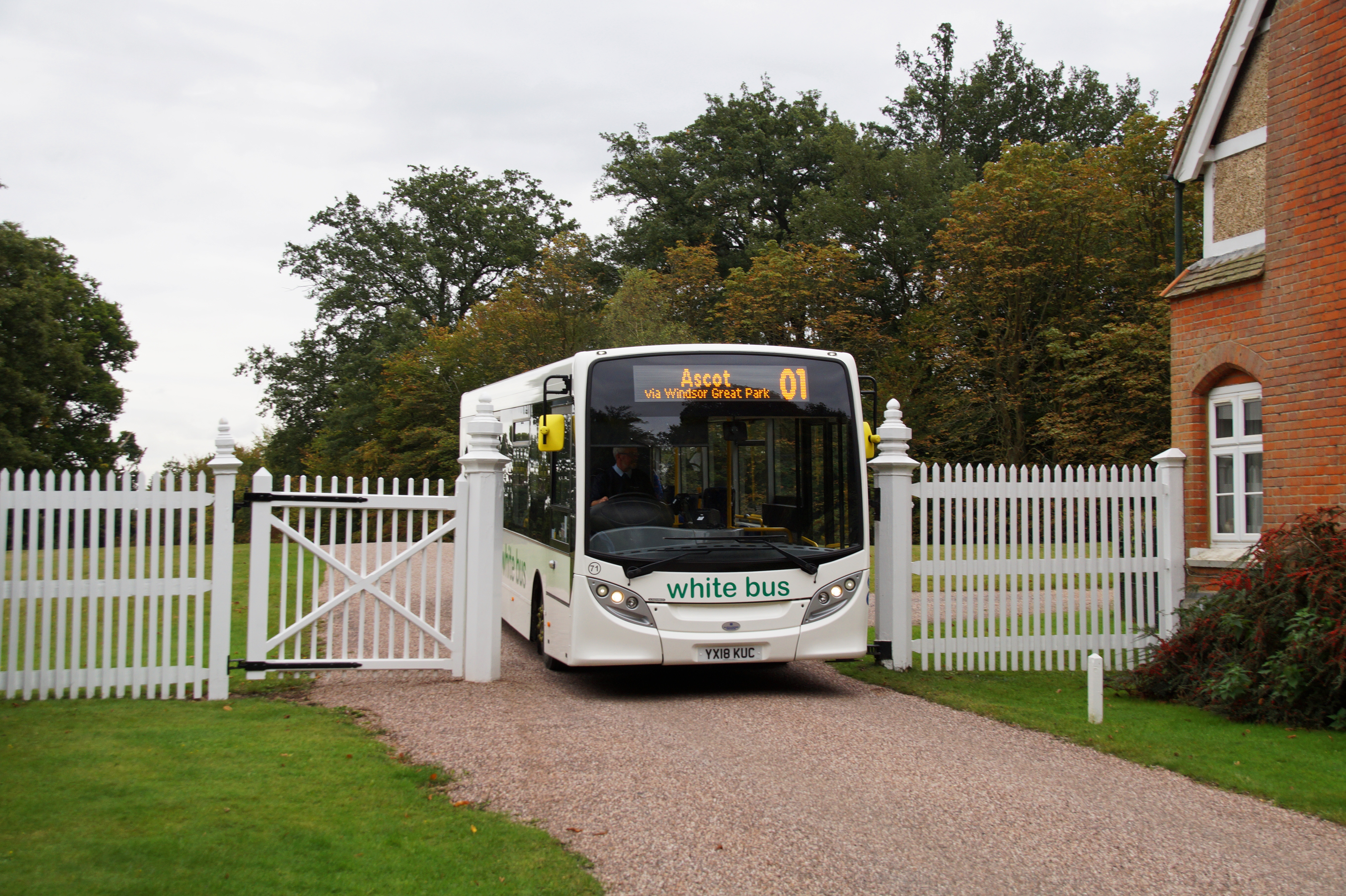 Bus Services | White Bus