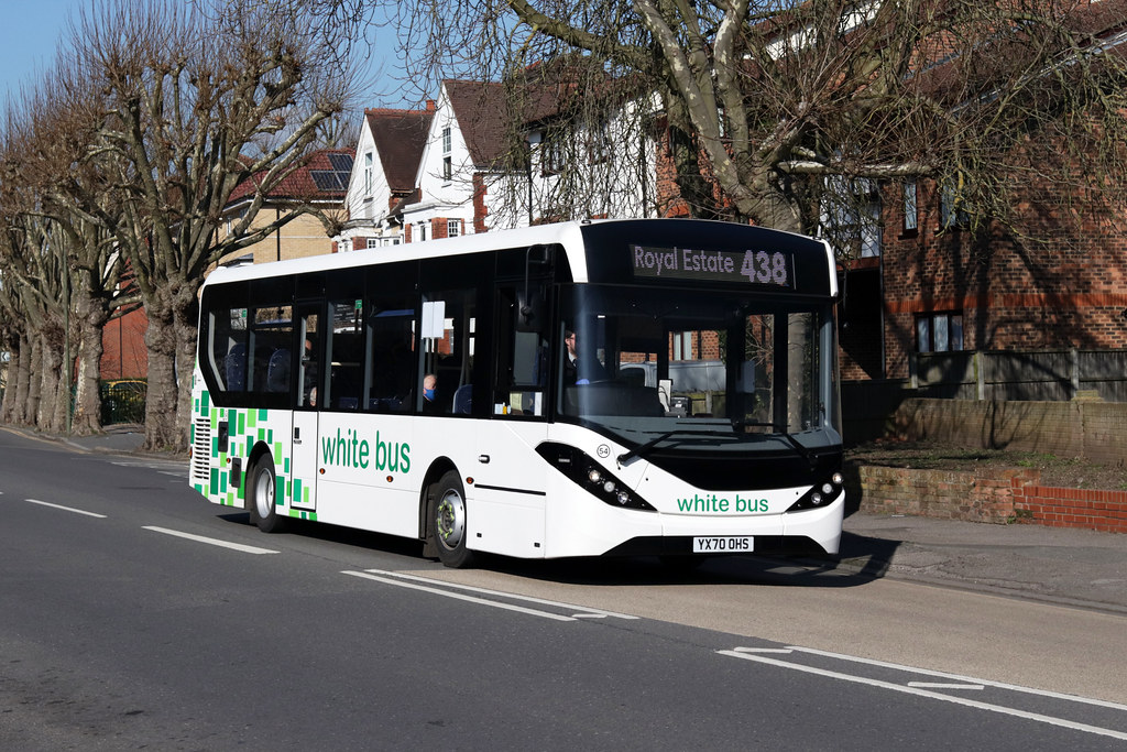 Bus Services | White Bus